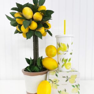 Kate Spade New York Insulated Tumbler with Reusable Straw, 20 Ounce Travel Cup with Lid, Lemons