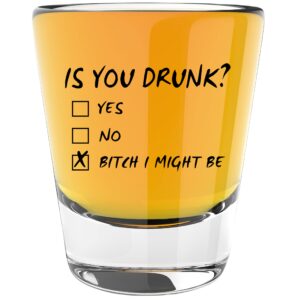 litgifts is you drunk shot glass, cute shot glasses for women or men, funny shot glasses for adults, fun gifts for men or women, silly drinking glasses for adults, 1.75 ounce glass shot glass