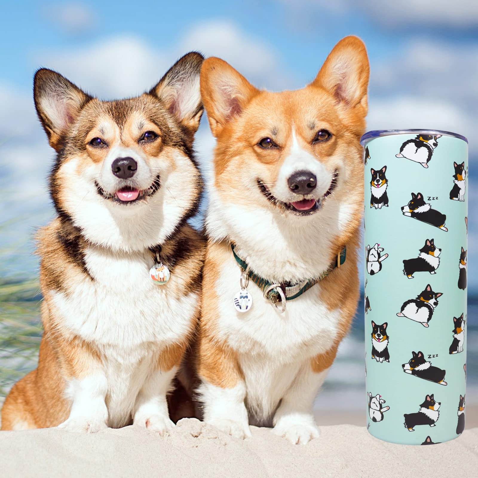 IchDich Corgi Tumbler With Lid and Straw 20 oz Insulated Dog Tumbler Stainless Steel Corgi Skinny Tumbler Water Bottle Travel Mug Wine Cups Corgi Gifts for Corgi Lovers