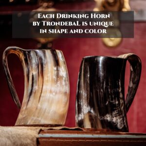 Trondebal Viking Drinking Horn Mug, 15-20 Oz Natural Ox Horn Cup & Cofee Stein | Cool Unique Gift for Men and Women, Home Decor Accessories | Shot Glasses for Beer, Ale, Mead, Whiskey