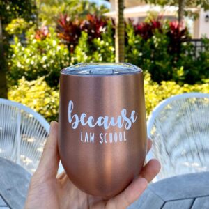 Law School Graduation Gifts - 12oz Wine Glass Tumbler Cup - Funny Gift Idea for Law Student, New Lawyer, Future Attorney, Because Law School Coffee Mug