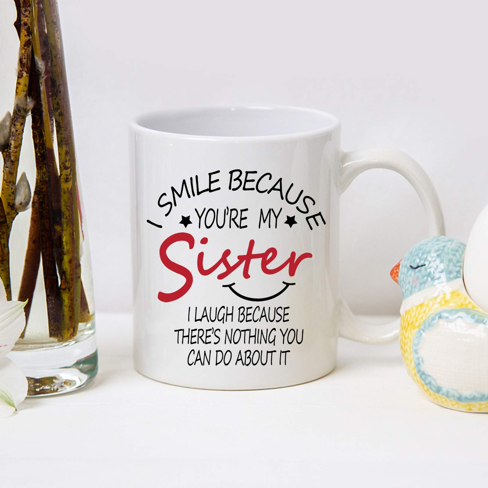 Toshiy I Smile Because You Are My Sister Mug I Laugh Because Sister Coffee Mug Coffee Cups for Sisters Birthday Gifts for Sister In Law from Sister Brother Sister Sis Mug 11 Ounce