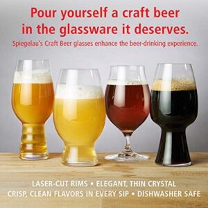 Spiegelau Craft Beer Tasting Kit Glasses, European-Made Lead-Free Crystal, Modern Beer Glasses, Dishwasher Safe, Professional Quality Tasting Glass Gift Set (Craft - Set of 4)