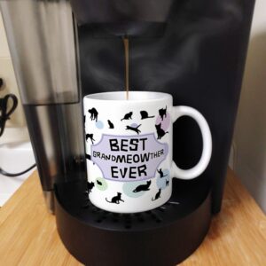 Cat Themed Gifts Best Grandmeowther Cat Cup Cat Related Gifts Cat Grandma Coffee Mug Tea Cup Multi