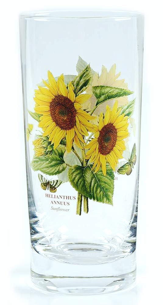 Portmeirion Botanic Garden Highball Glasses | Set of 4 Tall Drinking Glasses | Ideal for Whiskey, Juice, or Cocktails | 15 Oz Whiskey Glasses with Assorted Motifs