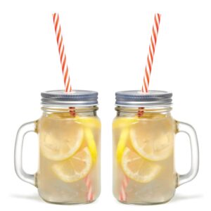 Starfrit 2-Pack Mason Jar Mugs with Reuseable Straws, Clear