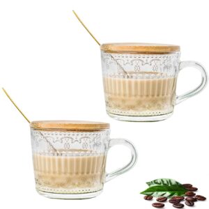 donyu 2 pack 14.5 oz glass coffee mug with lid,premium drinking glasses tumblers, vintage glassware set for coffee, juice, beverages (clear)