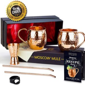 G GOODYGOODS Moscow Mule Copper Mugs: Make Any Drink Taste Much Better! 100% Pure Solid Copper His & Hers Gift Set- 2 Hammered 16 OZ Copper Cups 2 Unique Straws, Jigger & Recipe Booklet!