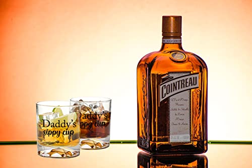 Daddy's Sippy Cup Whiskey Scotch Glass 10oz, Unique Gag Gifts for New Dad, Funny Birthday Retirement Father ‘s Day Christmas Gift for New Dads Father Husband Papa from Daughter Son Kids