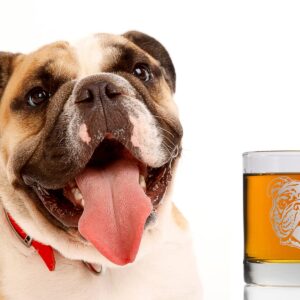 Promotion & Beyond Bulldog Face Cute Whiskey Glass - Funny Gift for Dad Uncle Grandpa From Daughter Son Wife - Father's Day