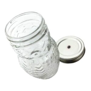 owl mason jar with lid - 12 ounce