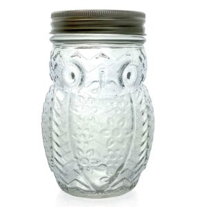 Owl Mason Jar with Lid - 12 ounce