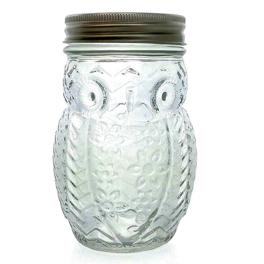 Owl Mason Jar with Lid - 12 ounce