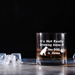 Perfectinsoy It's Not Really Drinking Alone if the Dog is Home Whiskey Glass Gift Box, Funny Dog Lover Gift for Dog Mom, Dog Dad, Dog Owner, Friends, Fur Mom, Fur Dad, Pet Grandma,Pet Grandpa