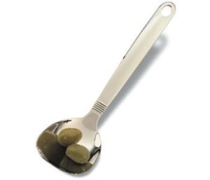 oneida stainless salad server