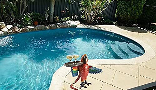 Serving Tray for Beer Vacation Party Drink Serving Parrot Butler, Parrot Butler Statue Bird Drink Serving , Retro Indoor Living Room Pool Kitchen Handicraft Decoration (22X12x20cm)