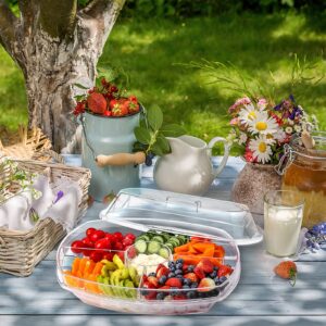 Condiment Server & Ice Serving Tray