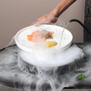 Seafood Sushi Sashimi Ice Tray Ceramic Platter Round Dry Ice Plate Personalized Smoke Dishes for Restaurant Hotel Home Multi-purpose (Size : Small)