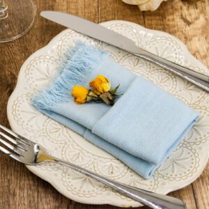 Dololoo Handmade Cloth Napkins with Fringe,18 x 18 Inches Cotton Linen Napkins Set of 4 Versatile Handmade Square Rustic Fringe Napkins for Dinner, Wedding and Parties, Blue