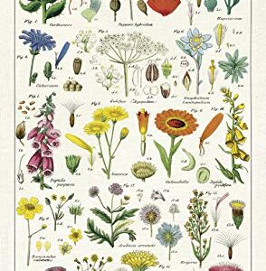 Cavallini & Co. Wildflowers Tea Towel, Multicolor