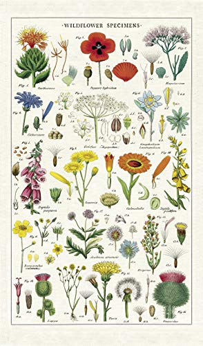 Cavallini & Co. Wildflowers Tea Towel, Multicolor