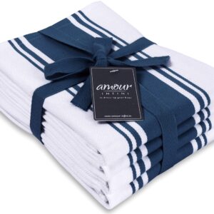 AMOUR INFINI Cotton Stripe Kitchen Towels Set of 4 Highly Absorbent, Super Soft, Quick Drying Dish Towels with Hanging Loop Oversized Washable Tea Towels (28x20 Inch - Blue)