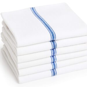 Blue Premia Dish Towels (6 Units) • Commercial Kitchen Towel • Absorbent 100% Cotton Herringbone (14"x25") • Commercial Quality: 24 oz/dz • Classic Tea Towels • Low Lint