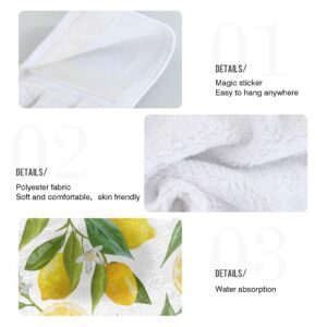 ALAZA Lemon Floral Kitchen Towels Tea Towels Dish Towels with Hanging Loop 2 Pack