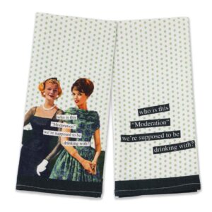 Boston International Anne Taintor Vintage Style Retro Kitchen Gift Cotton Dish Towels Tea Towel Set, 2-Pack, Moderation Who?