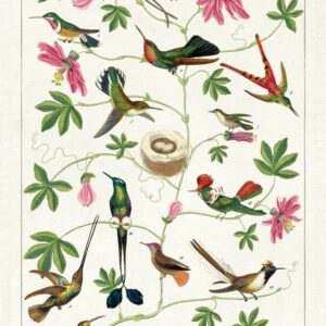 Cavallini & Co., Hummingbirds Vintage Kitchen / Tea Towel