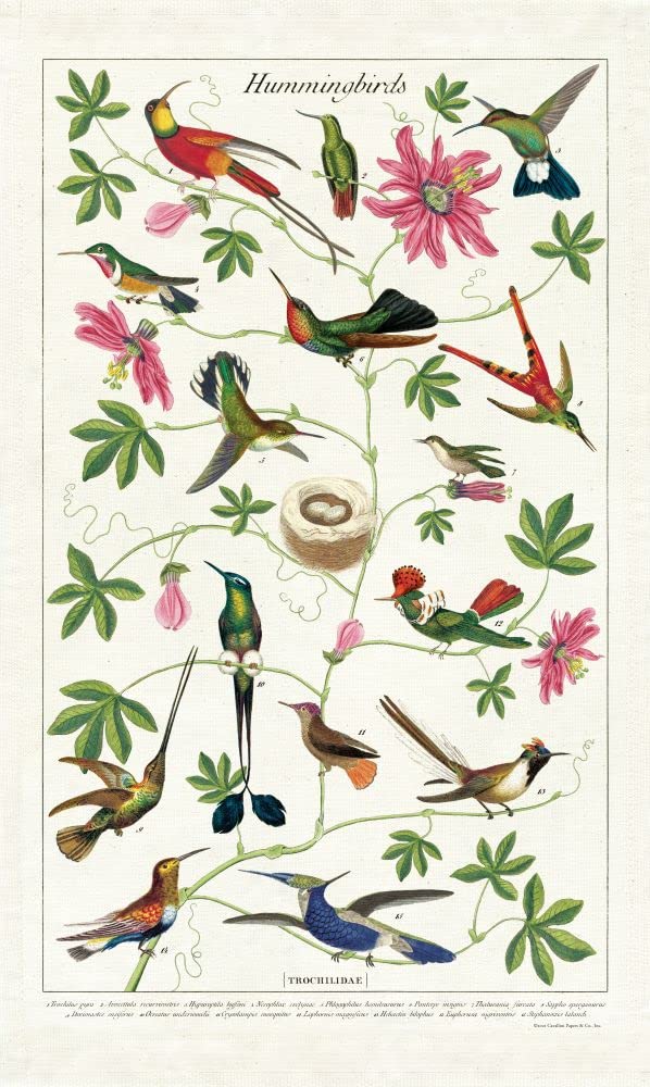 Cavallini & Co., Hummingbirds Vintage Kitchen / Tea Towel