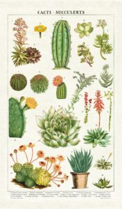 cavallini papers & co cavallini vintage succulents cotton tea towel