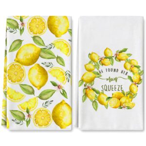 anydesign lemon kitchen dish towel 18 x 28 yellow lemon dishcloth watercolor fruit pattern decorative hand drying tea towel for spring summer cooking baking bathroom cleaning wipes, set of 2