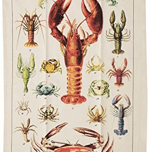 Cavallini Papers Curstaceans Vintage Crustaceans Cotton Tea Towel