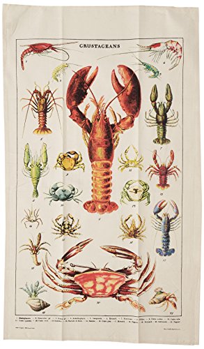 Cavallini Papers Curstaceans Vintage Crustaceans Cotton Tea Towel