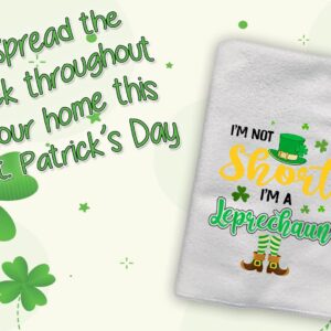 St Patricks Day Kitchen Dish Tea Towel Decoration | Decorative Bathroom Hand Decor | Holiday Shamrock Gnomes Bath Towels | Spring Winter Green Home Decor | Saint Patrick's Day Paddy's Day Paddys