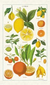 cavallini - cotton - citrus tea towel