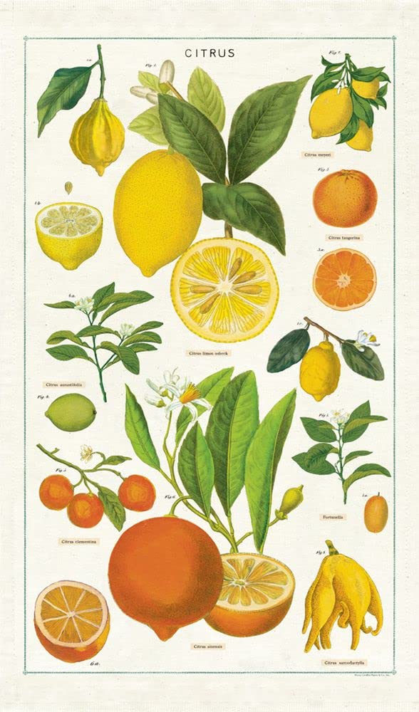 Cavallini - Cotton - Citrus Tea Towel