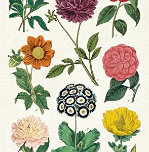 Cavallini Papers Botanica Tea Towel, Multicolor