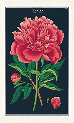 Cavallini Papers & Co Botanica Peony Tea Towel, Multi