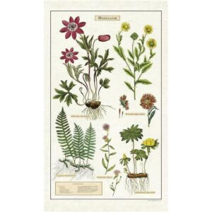 herbarium tea towel