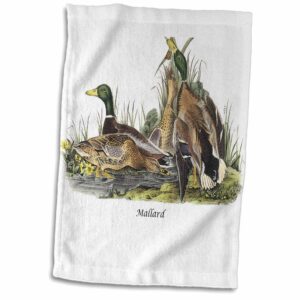 3d rose mallard duck by john james audubon hand/sports towel, 15 x 22