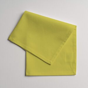 Cloth Napkins Pack of 6 |100% Cotton Calicot Dinner Napkins 16x16 Inches|Table Dinner Napkins for Hotel, Lunch, Restaurant, Weddings, Event and Parties|Spring, Easter Decor Dinner Napkins(Green)