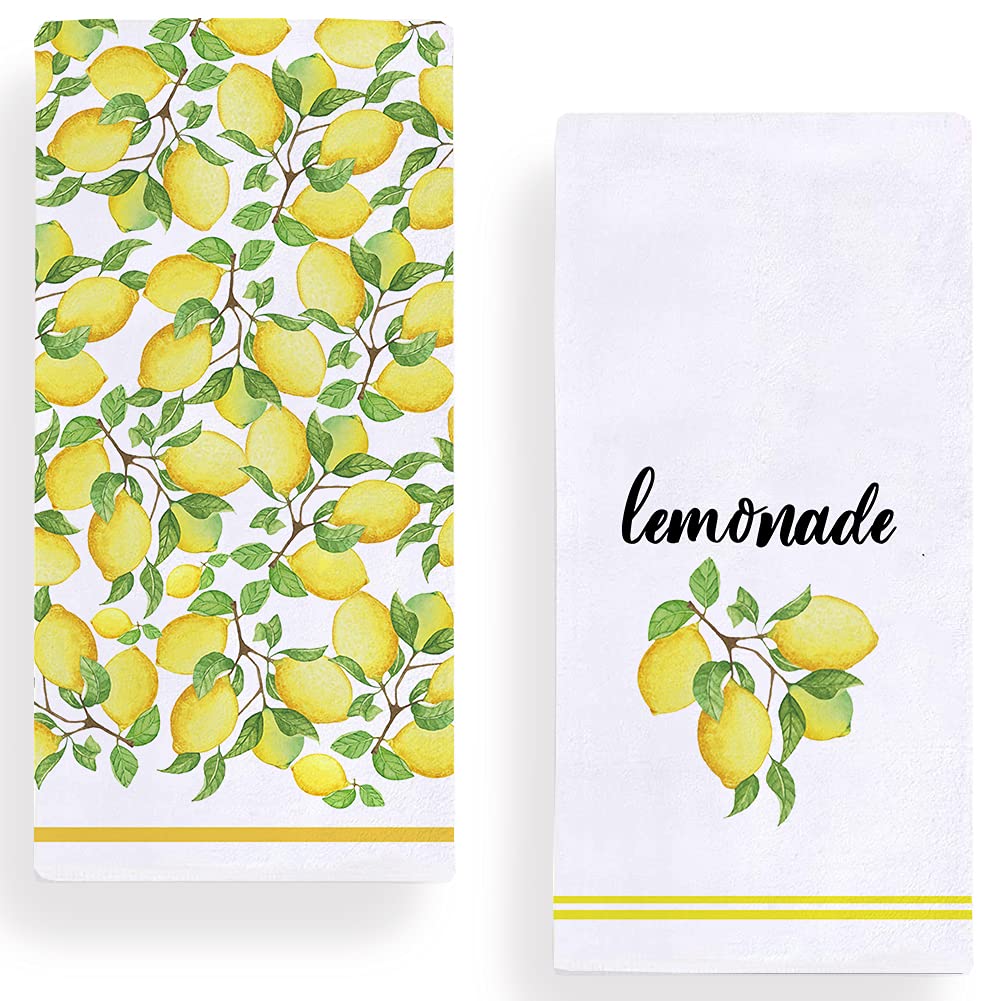 Watercolor Lemon Kitchen Dish Towel 18 x 28 Inch, Seasonal Spring Summer Lemonade Tea Towels Dish Cloth for Cooking Baking Set of 2