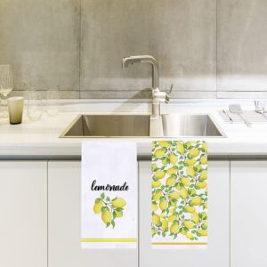 Watercolor Lemon Kitchen Dish Towel 18 x 28 Inch, Seasonal Spring Summer Lemonade Tea Towels Dish Cloth for Cooking Baking Set of 2