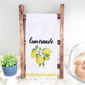 Watercolor Lemon Kitchen Dish Towel 18 x 28 Inch, Seasonal Spring Summer Lemonade Tea Towels Dish Cloth for Cooking Baking Set of 2