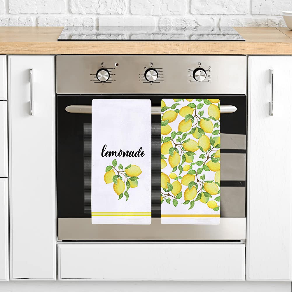 Watercolor Lemon Kitchen Dish Towel 18 x 28 Inch, Seasonal Spring Summer Lemonade Tea Towels Dish Cloth for Cooking Baking Set of 2