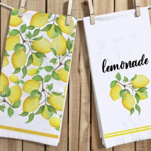 Watercolor Lemon Kitchen Dish Towel 18 x 28 Inch, Seasonal Spring Summer Lemonade Tea Towels Dish Cloth for Cooking Baking Set of 2