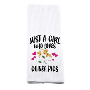 cmnim guinea pig kitchen towels,just a girl who loves guinea pigs accessories,pet dish towels,farmhouse decor, housewarming gift (guinea pig kitchen towels)