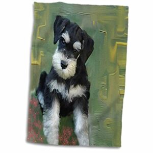 3d rose miniature schnauzer towel, 15 x 22